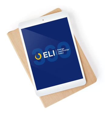 Using the Energy Leadership Index® Assessment: An Essential Guide for iPEC Coaches